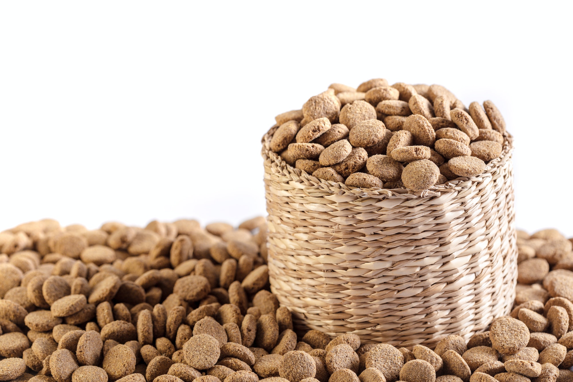 Salmon Formula - Wilderness Legend Pet Food